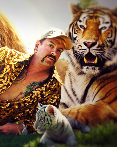 The Tiger King and I - We Are Royale | Design-Driven Creative ...